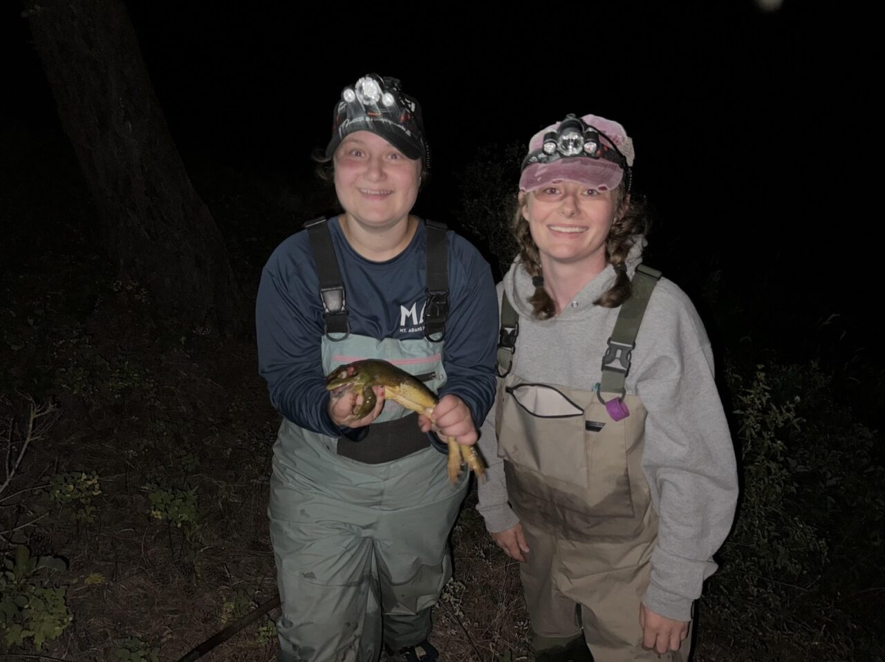 Field Notes: In the Trenches with BRAT: A Summer of Bullfrog Removal ...